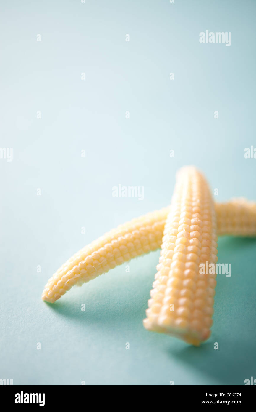 Single baby corn, halved and on pale blue background Stock Photo - Alamy