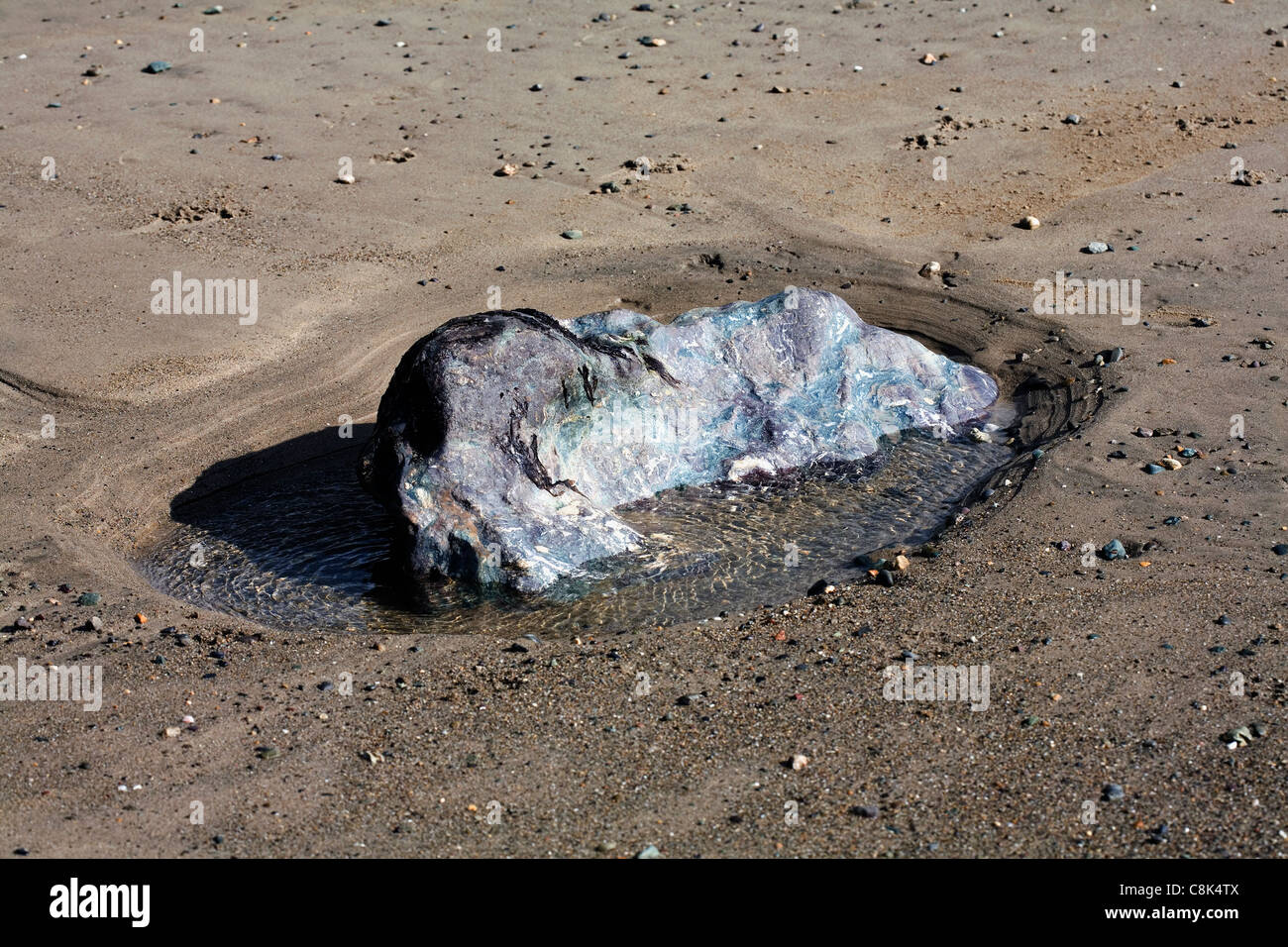 Mineral rich sea hi-res stock photography and images - Alamy