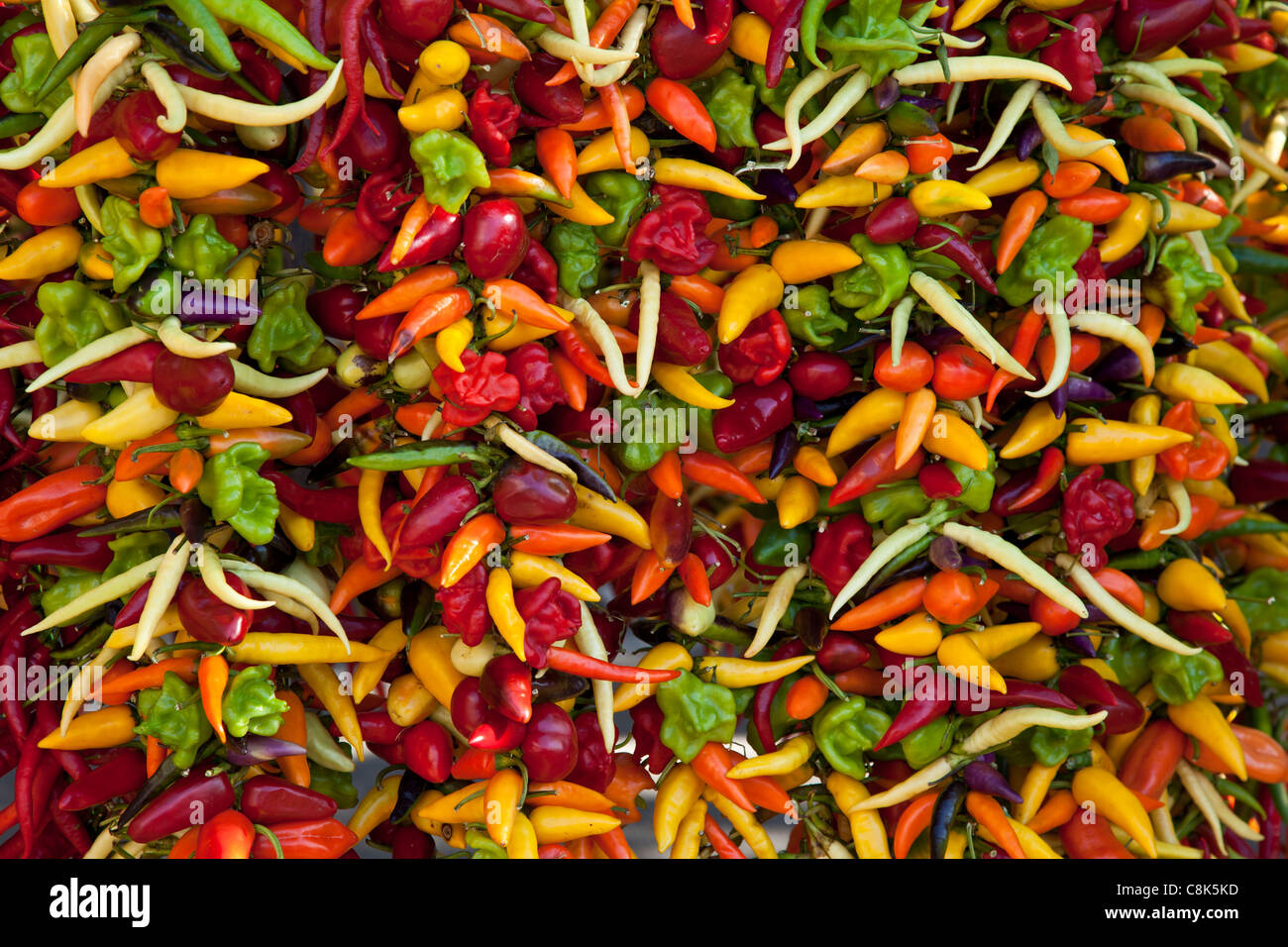 Chilli peppers on market stall Stock Photo - Alamy