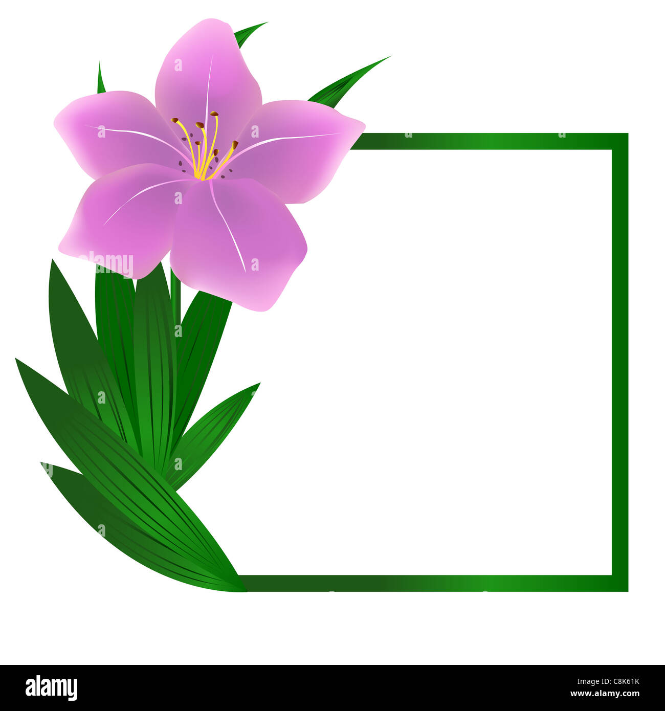 Beautiful square lily flower background Stock Photo - Alamy
