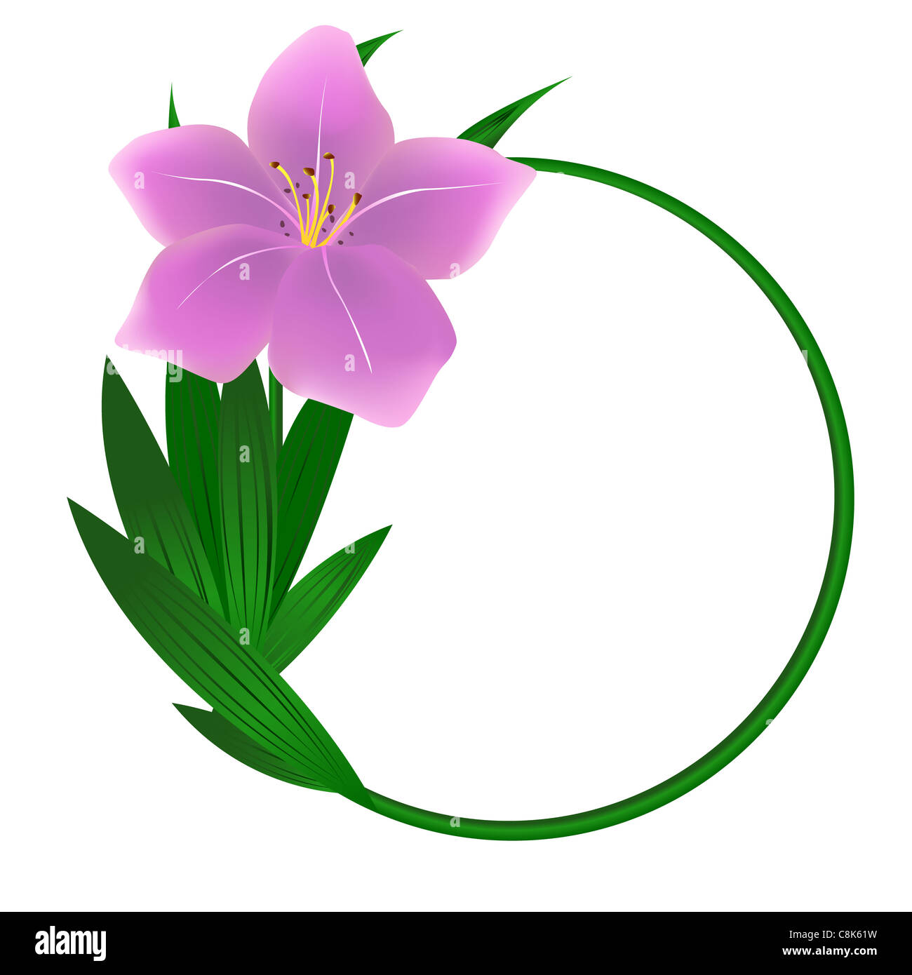 Beautiful round lily flower background Stock Photo - Alamy