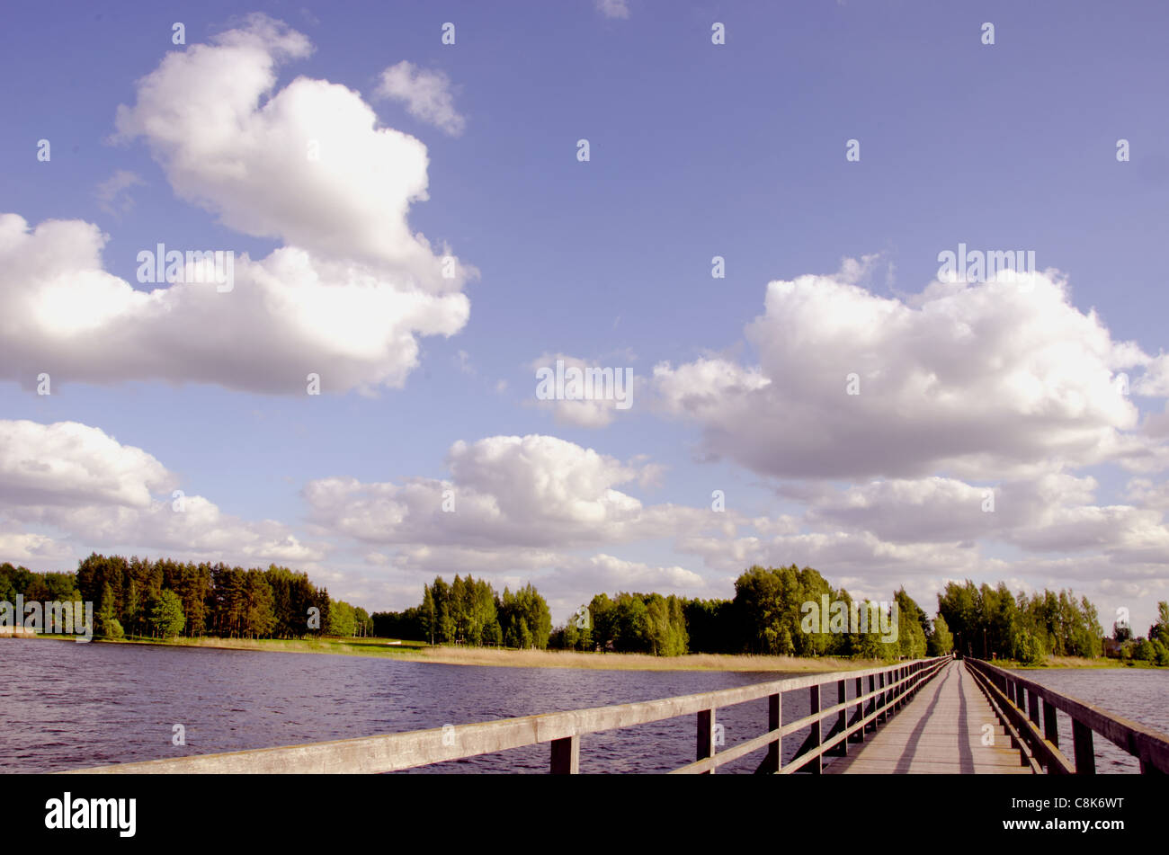 Long wooden footbridge with handrails over the lake. Forest in the ...