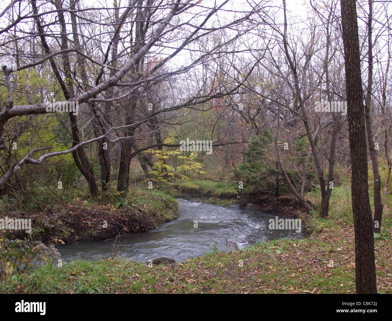 Autumn Colors of Trees Stock Photo - Alamy