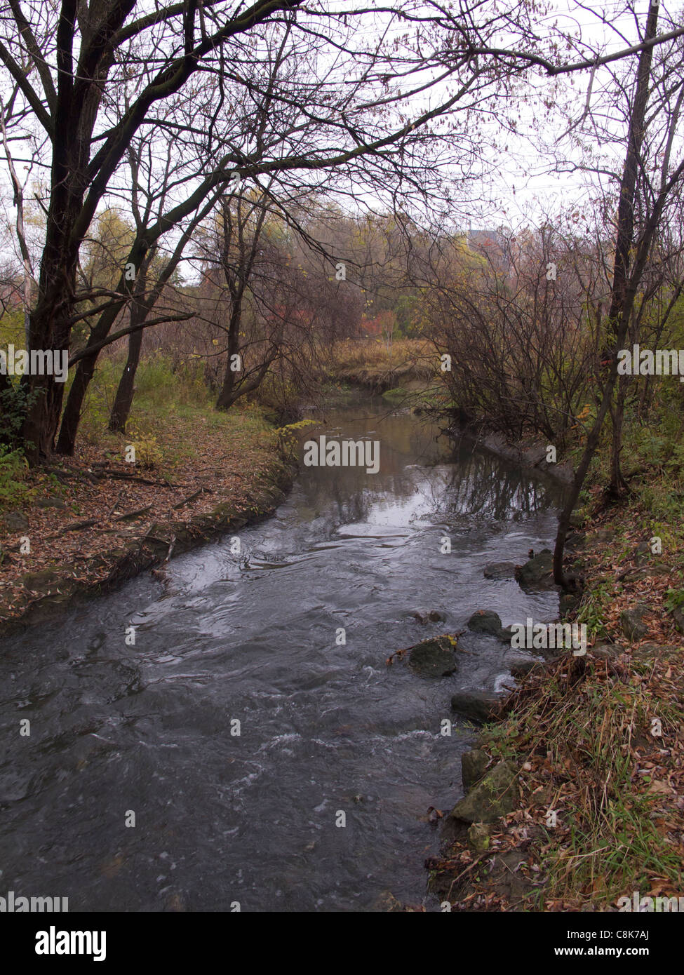 Autumn Colors of Trees Stock Photo - Alamy