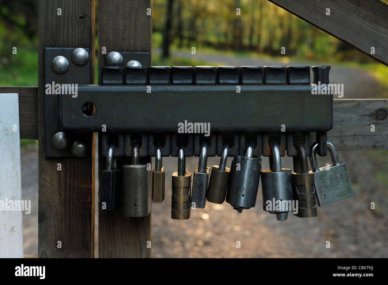 Group lockout padlock concept Stock Photo - Alamy