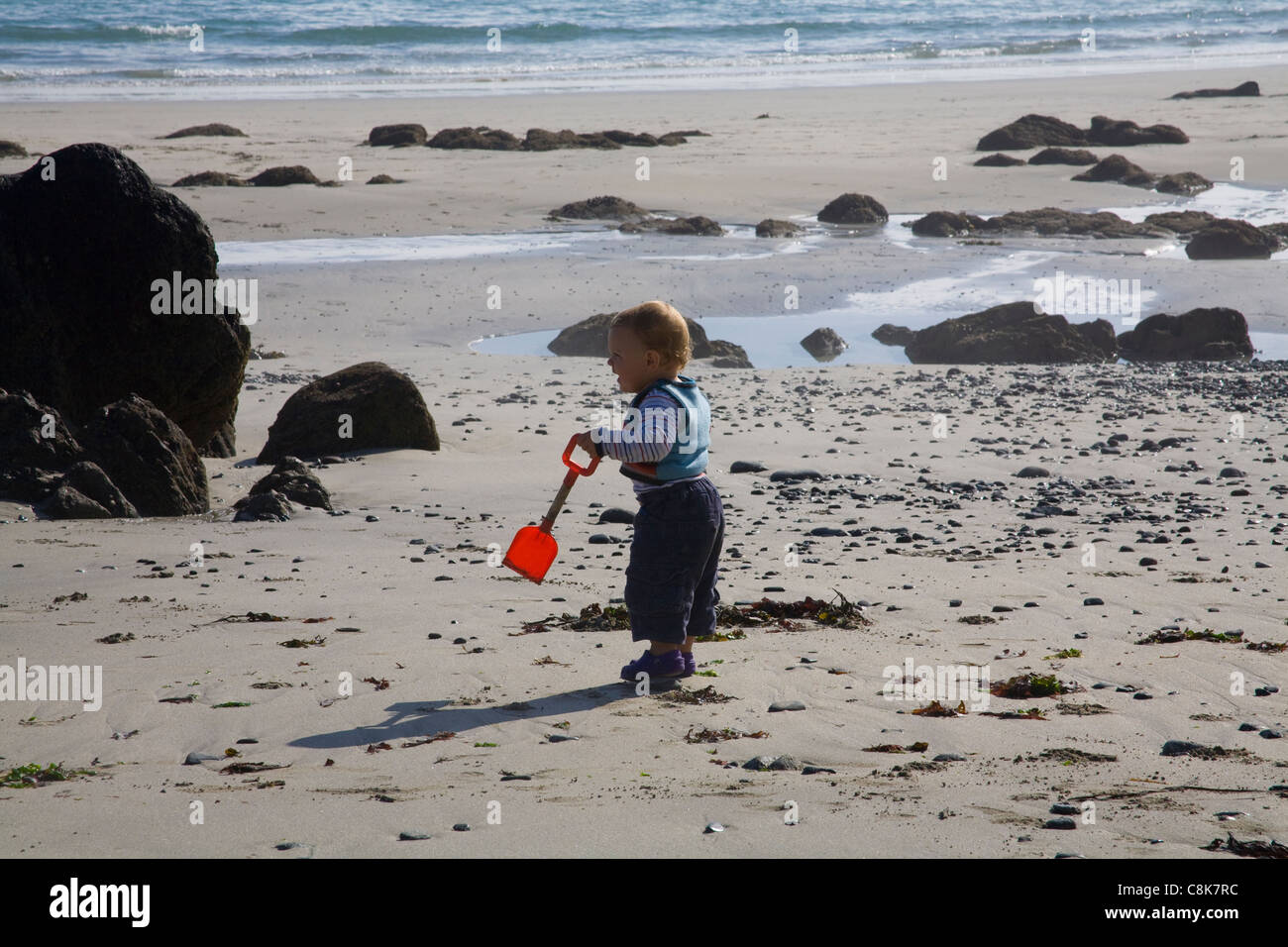 Plastic spade hi-res stock photography and images - Alamy