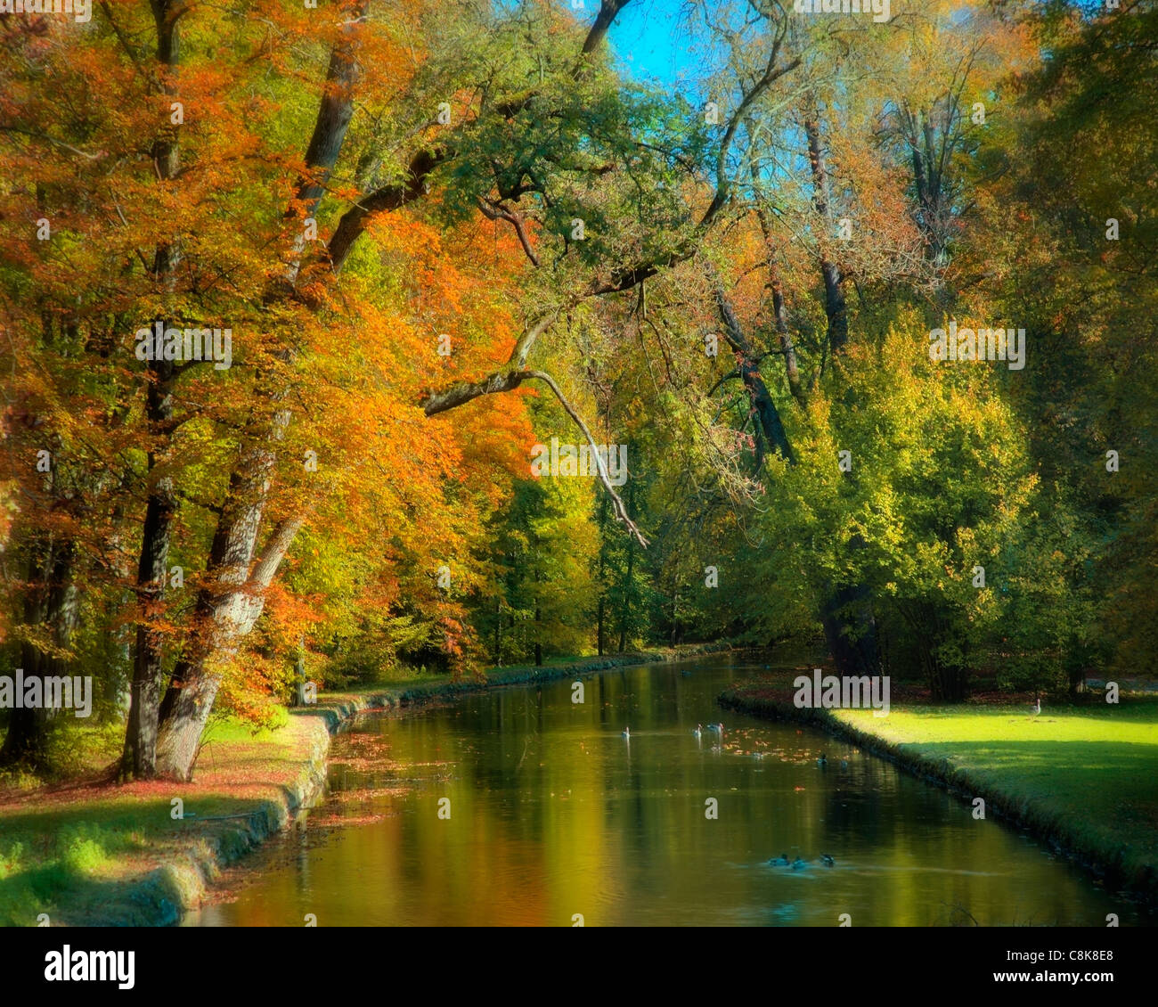 DE - BAVARIA: Autumn in park of Nymphenburg Palace, Munich Stock Photo ...