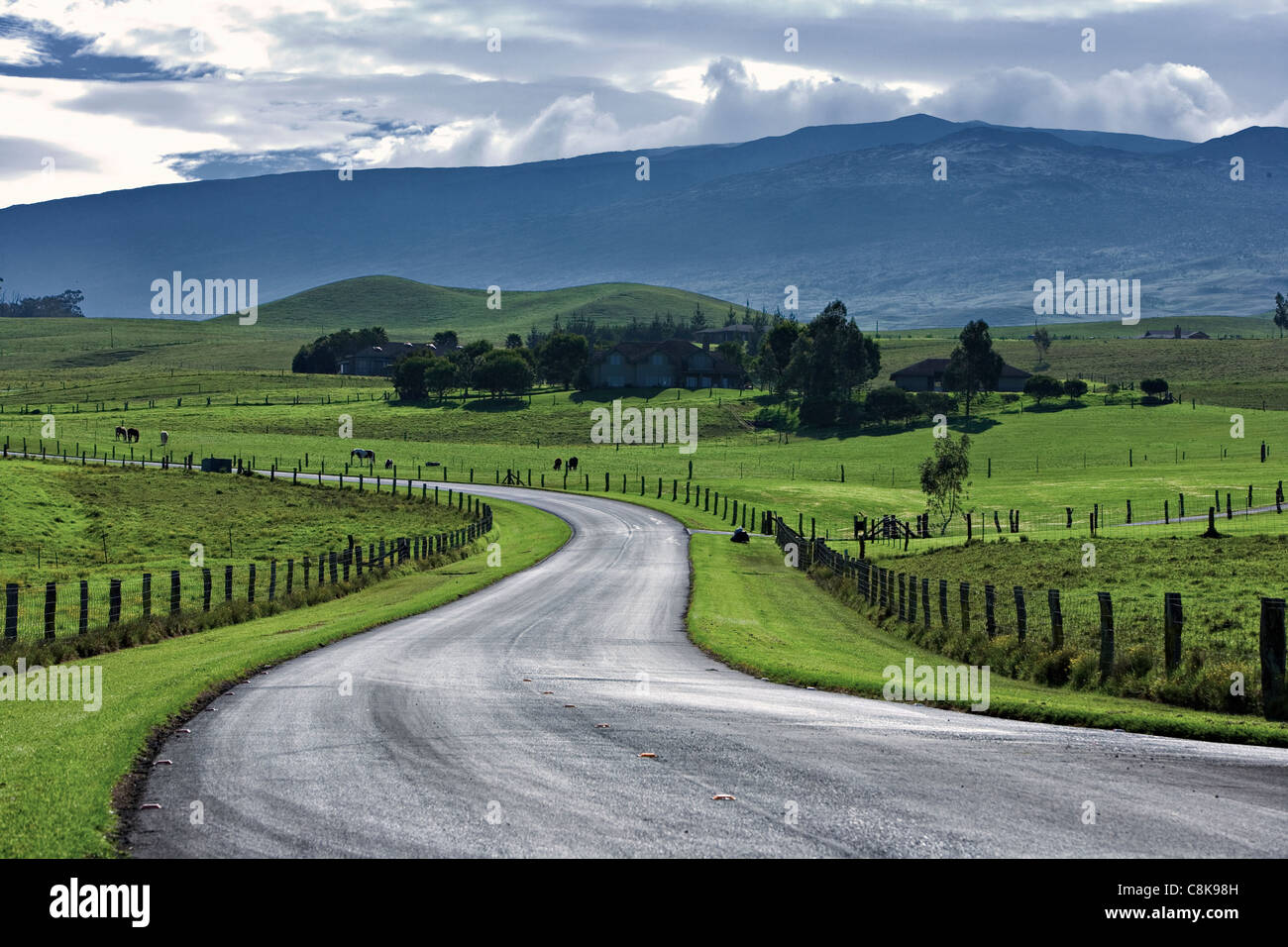 Private road in North Hawaii Stock Photo - Alamy