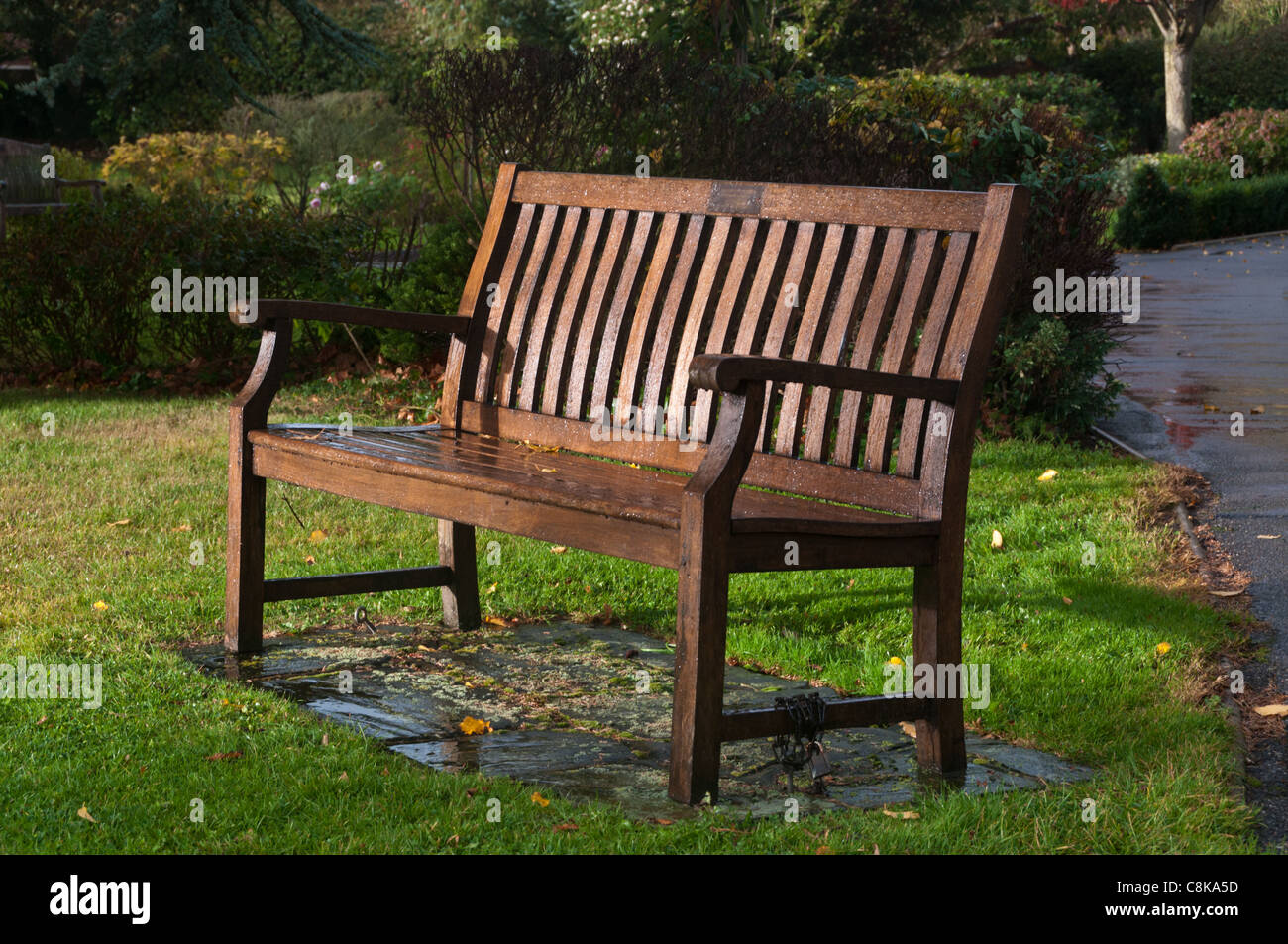 wooden park bench in the rain chained down Stock Photo - Alamy