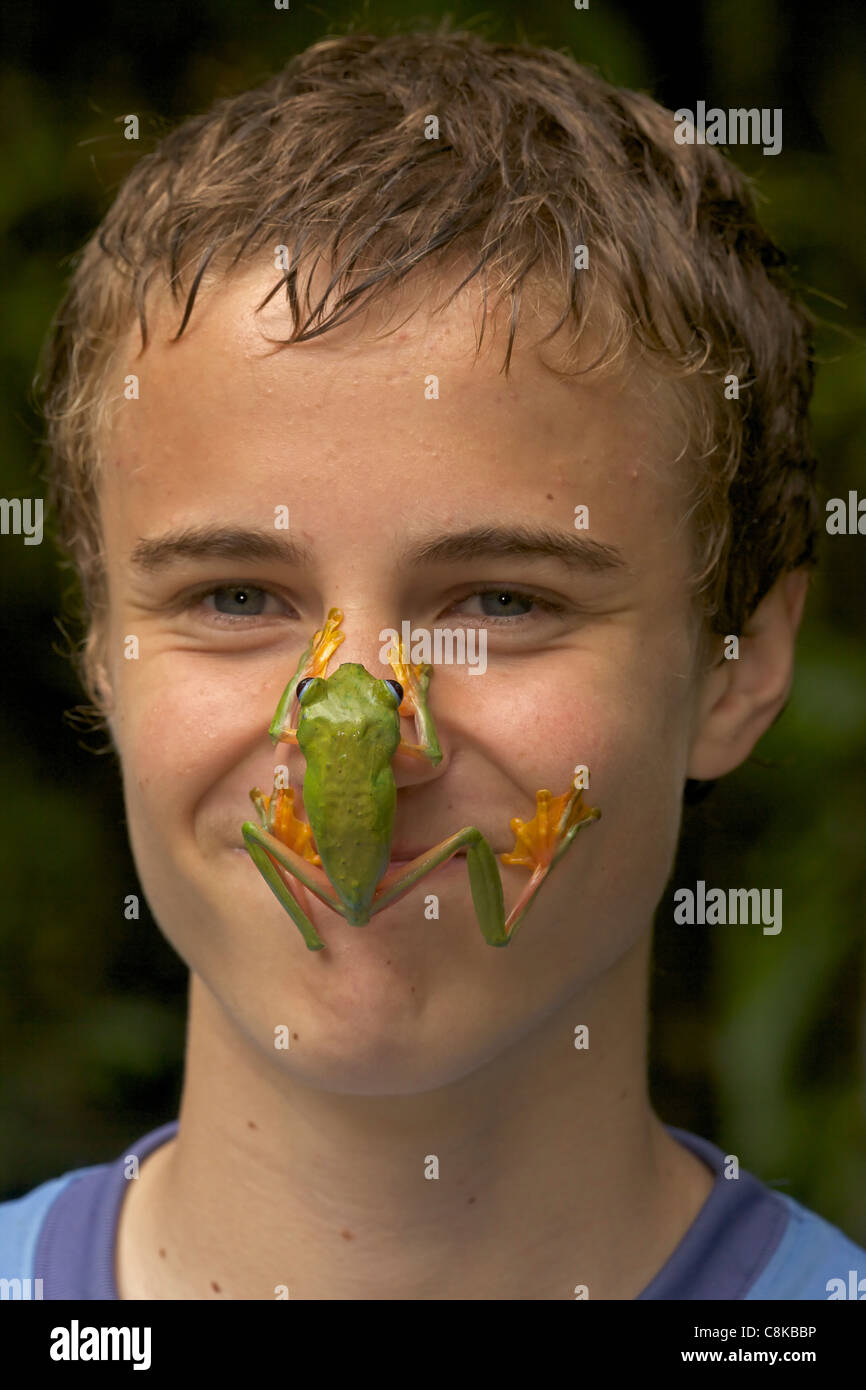 Boy with Gliding leaf frog- Agalychnis spurrelli - Costa Rica ...