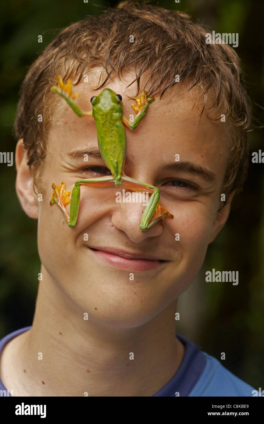 Boy with Gliding leaf frog- Agalychnis spurrelli - Costa Rica ...