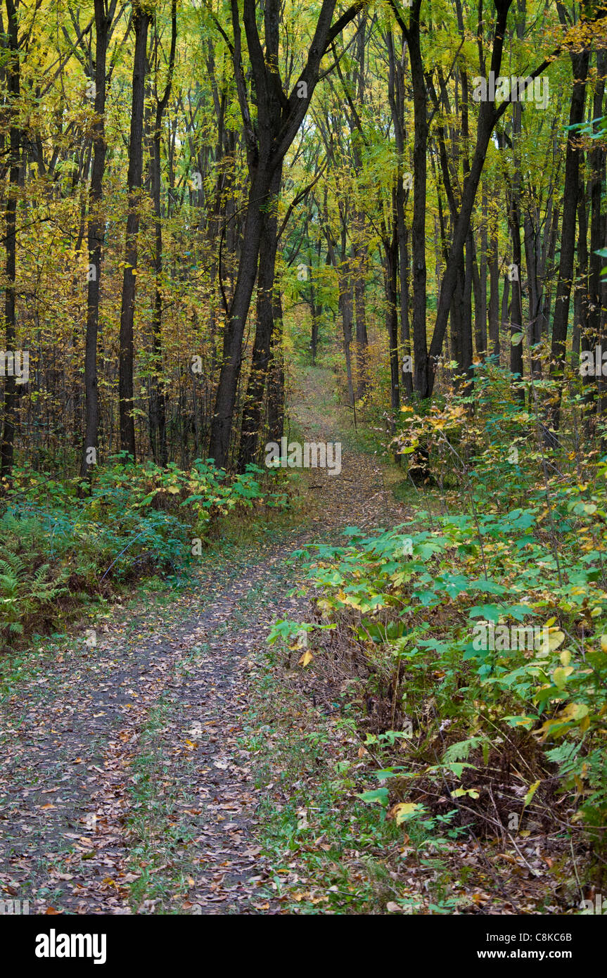 Quiet path through woods arboretum hi-res stock photography and images ...