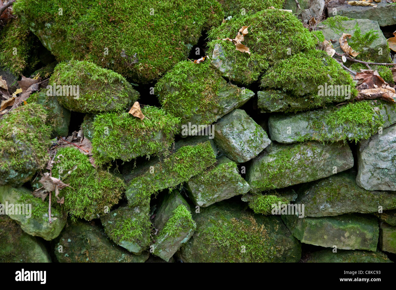 The moss covered remains of an old stone wall Stock Photo - Alamy