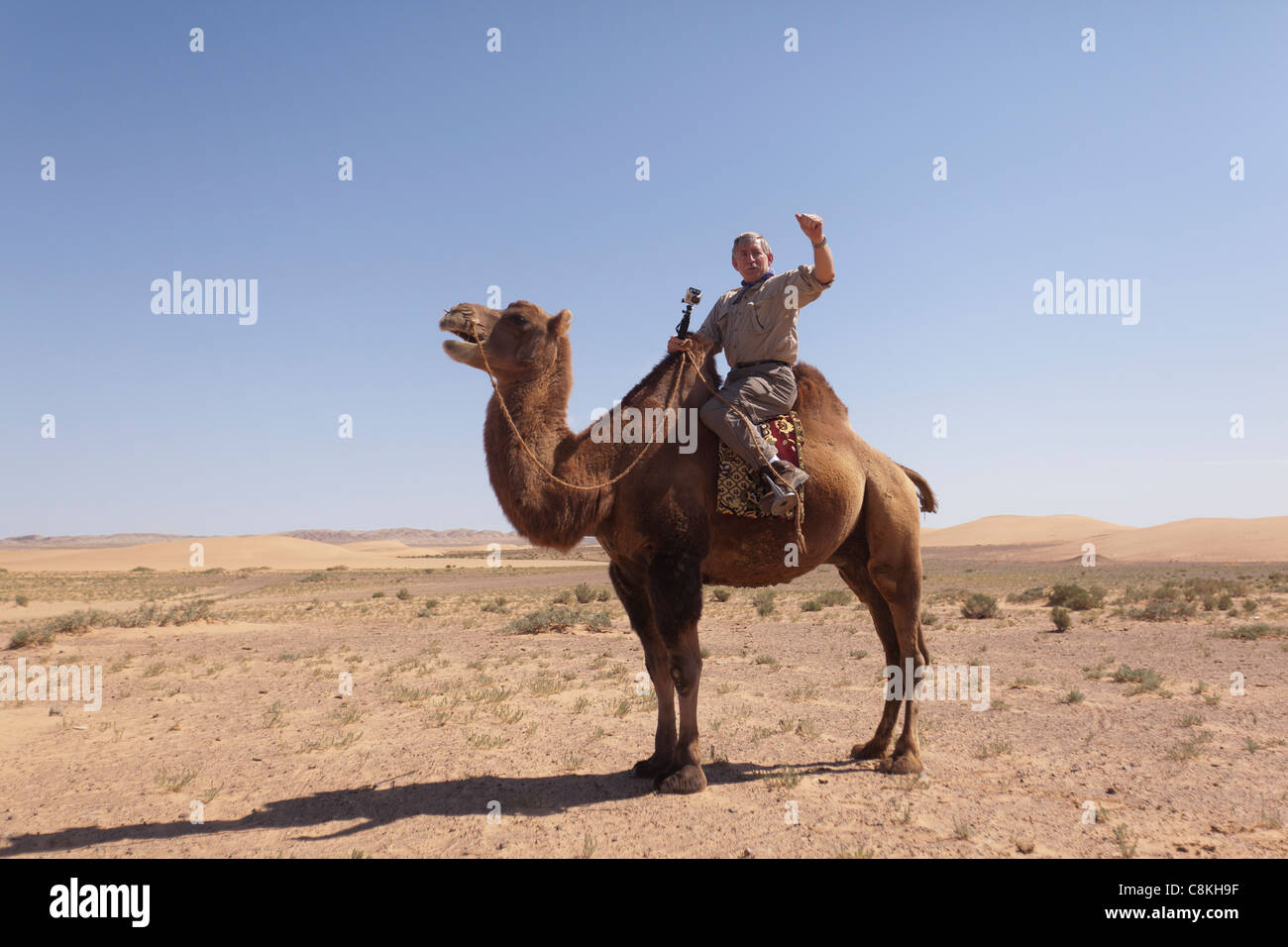 Western man riding a camel in the Gobi desert in Mongolia Stock Photo ...