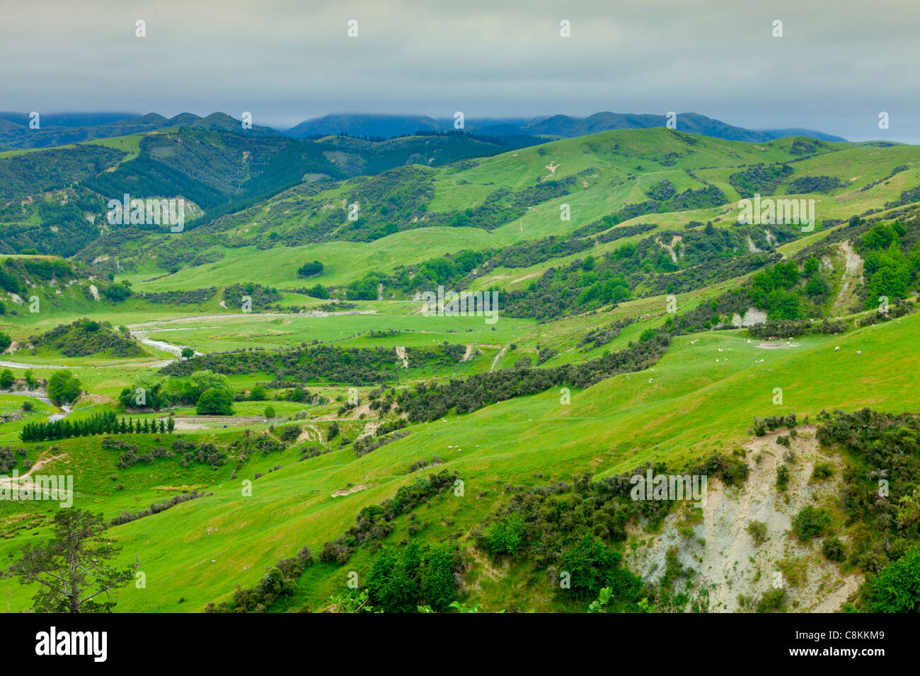 Country landscape in New Zealand's South Island Stock Photo - Alamy