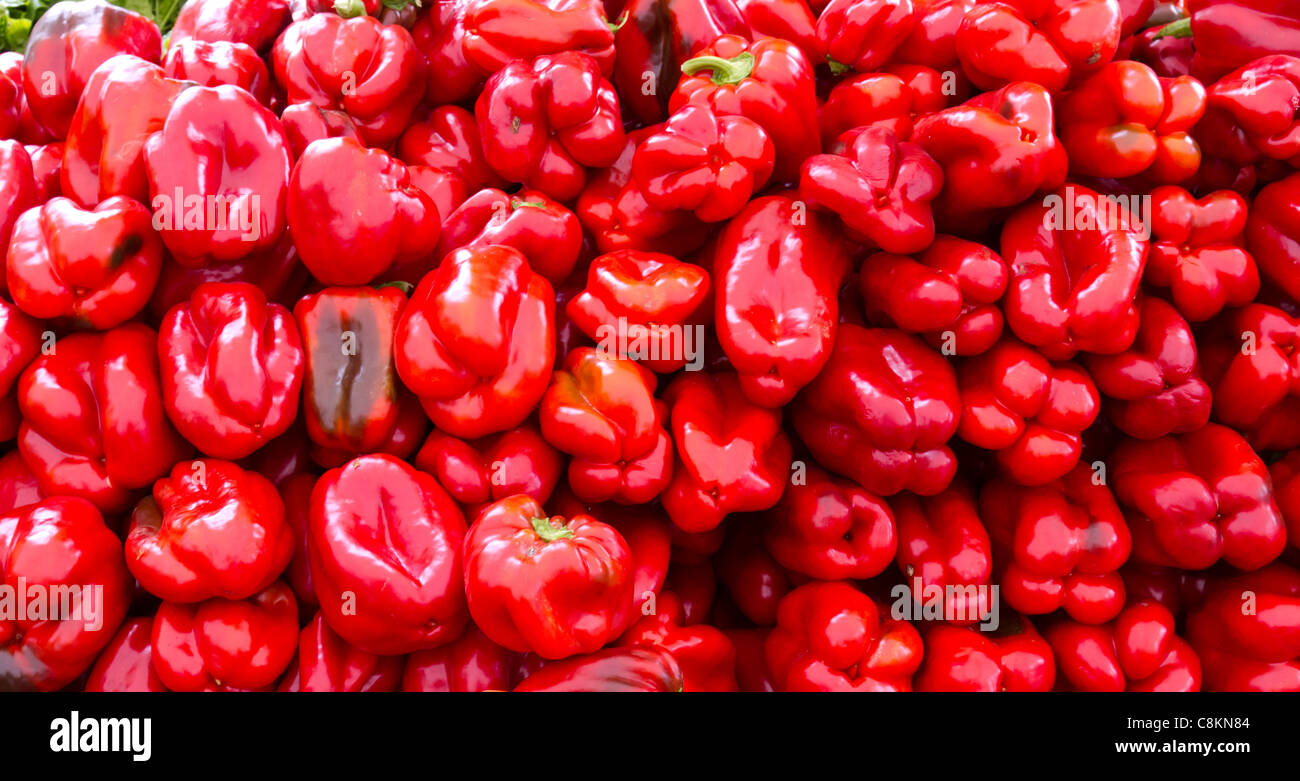Fresh picked ripe red bell peppers on display at the farmer's market ...
