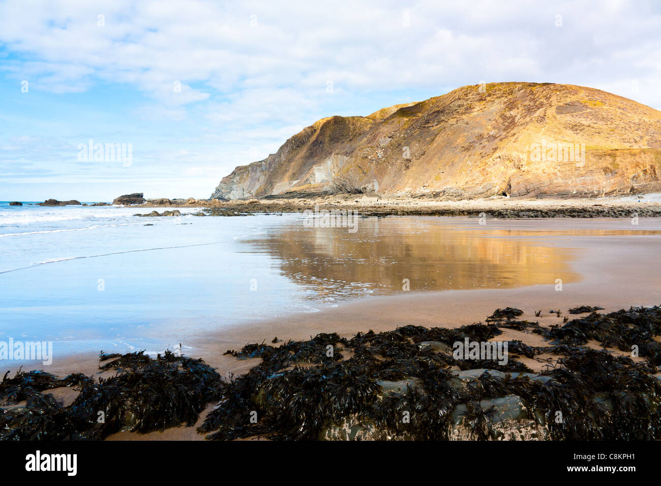 The rugged remote beach at Welcome Mouth, Devon England UK Stock Photo ...