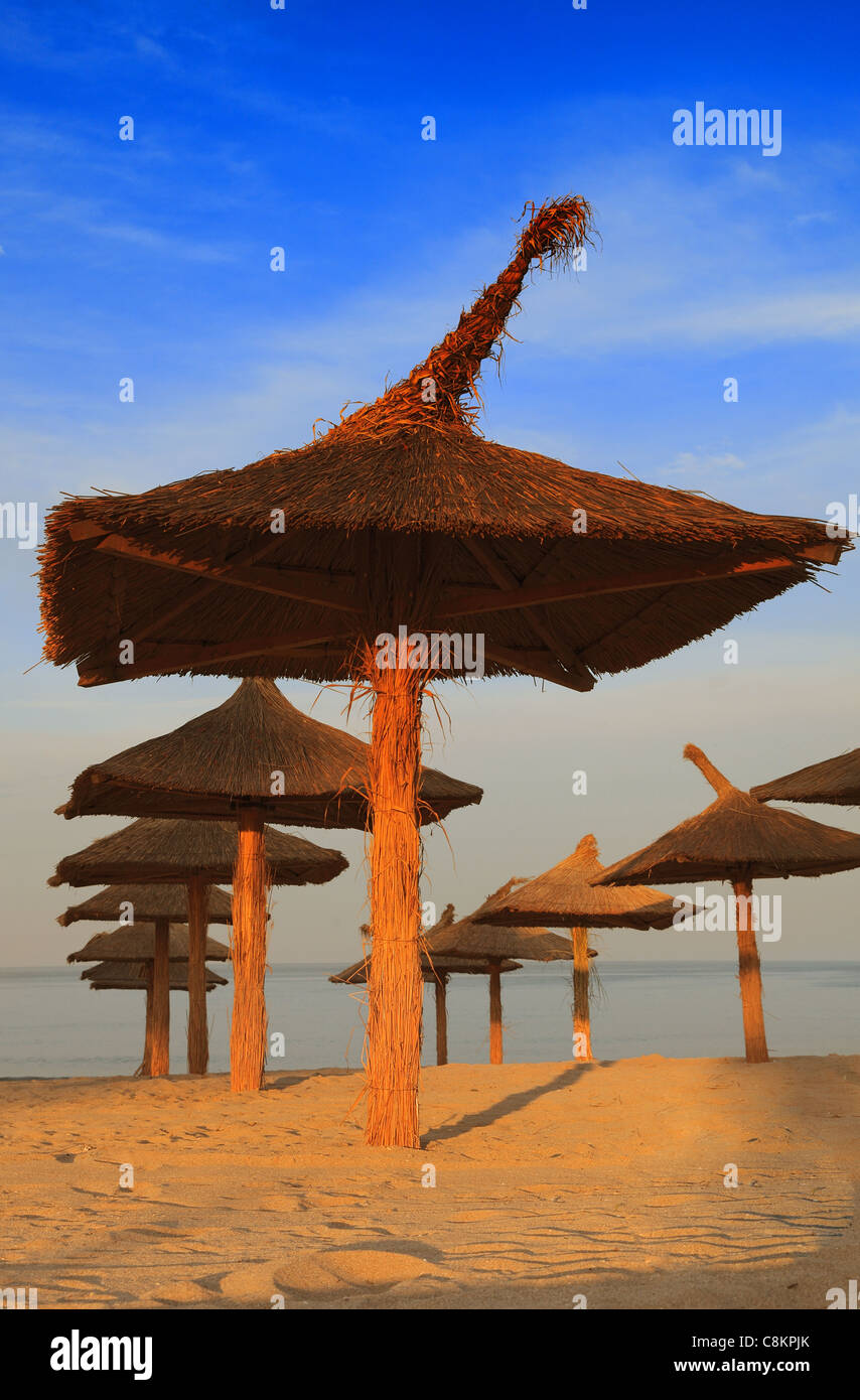 Rows of thatched parasols on a tropical beach at sunset Stock Photo - Alamy