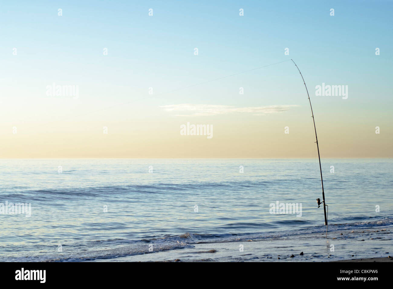 Golden sea rod hi-res stock photography and images - Alamy