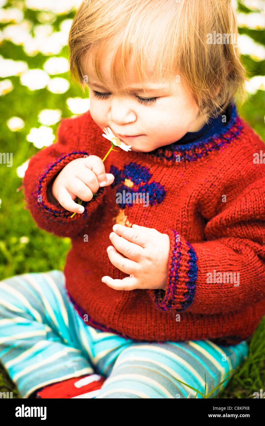 Baby girl smelling flower Stock Photo - Alamy