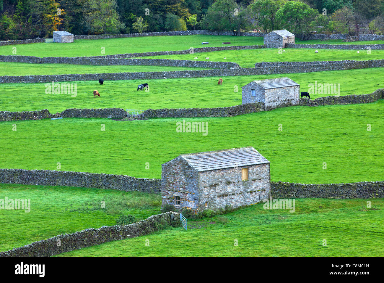 Barns in Swaledale Stock Photo - Alamy
