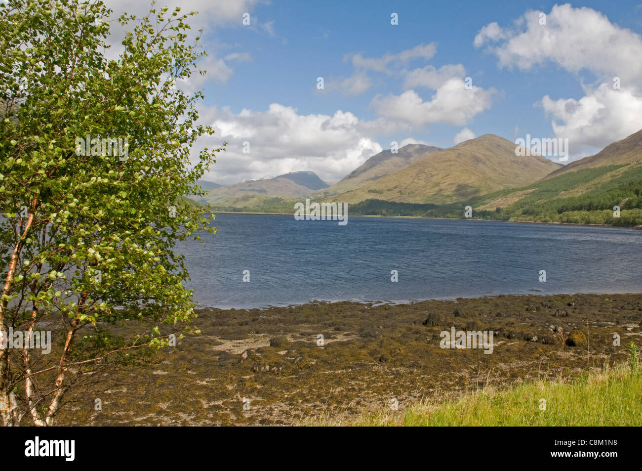 Loch creran hi-res stock photography and images - Alamy