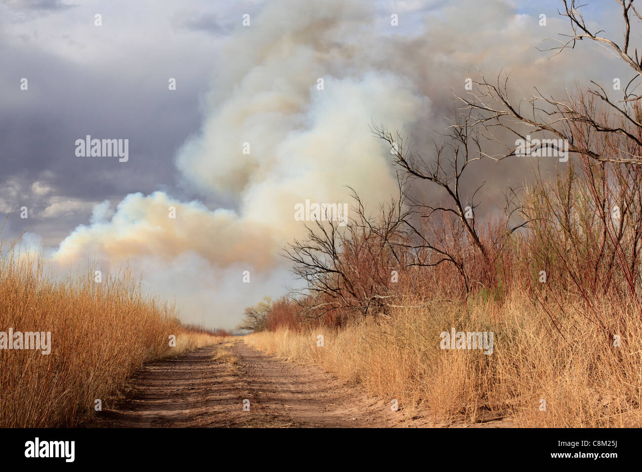 Wildfire smoke landscape hi-res stock photography and images - Alamy