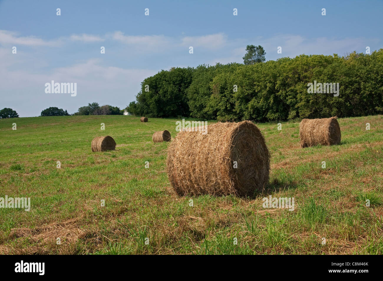 Baled grass hi-res stock photography and images - Alamy