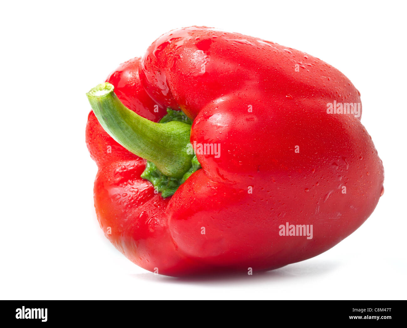 Single fresh red pepper with water drops isolated on white background ...
