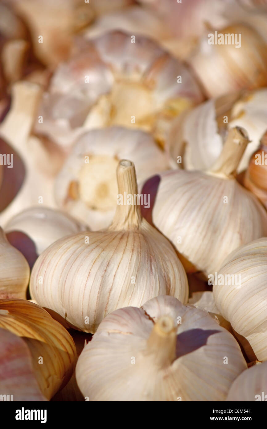 Garlic seed hi-res stock photography and images - Alamy