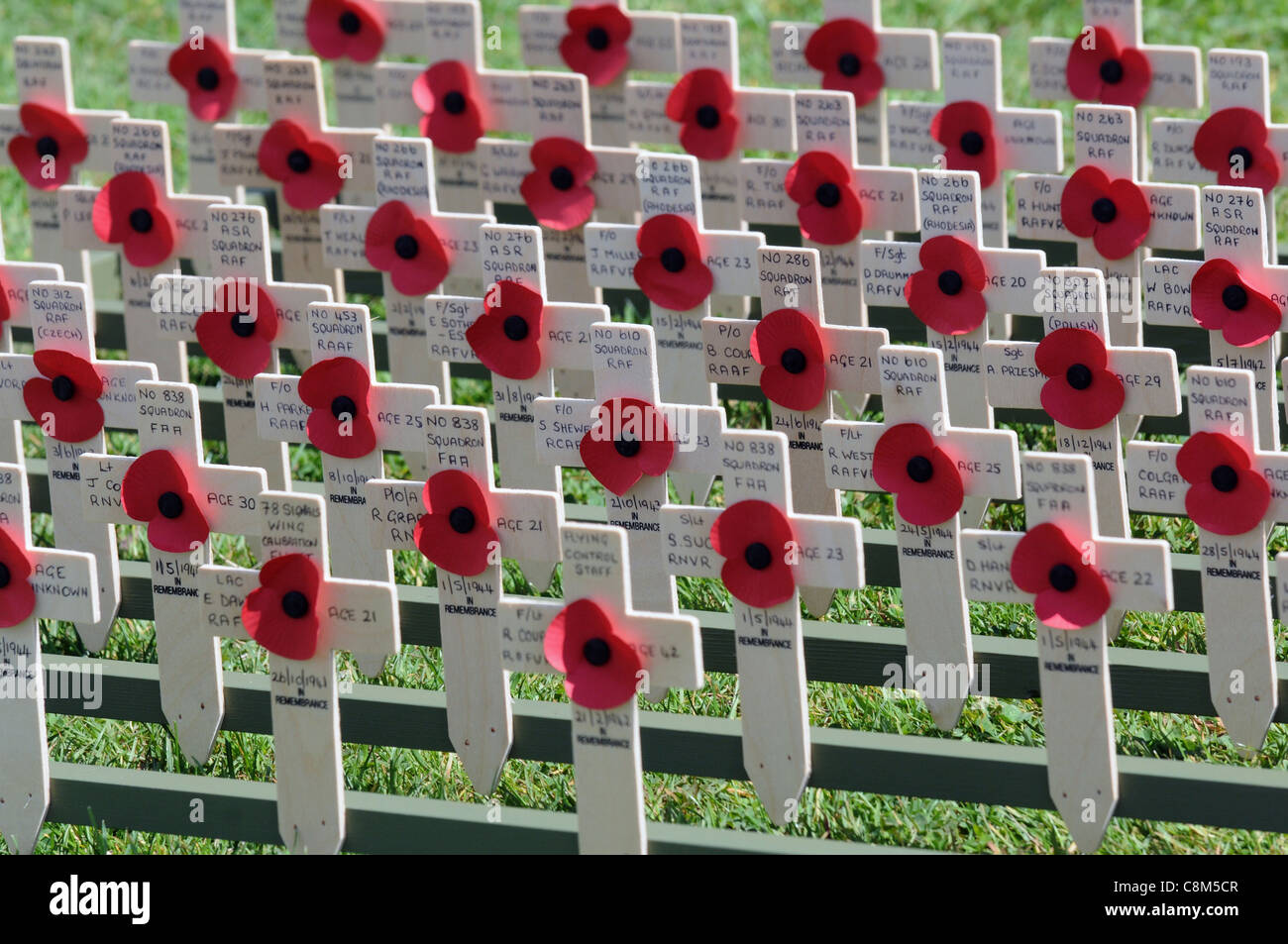 Poppy crosses-remembrance day Stock Photo - Alamy