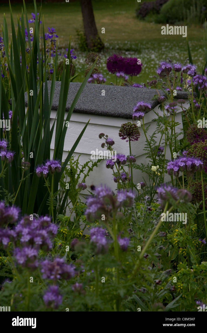A hive in the bee border at Cambridge University Botanic Garden Stock ...