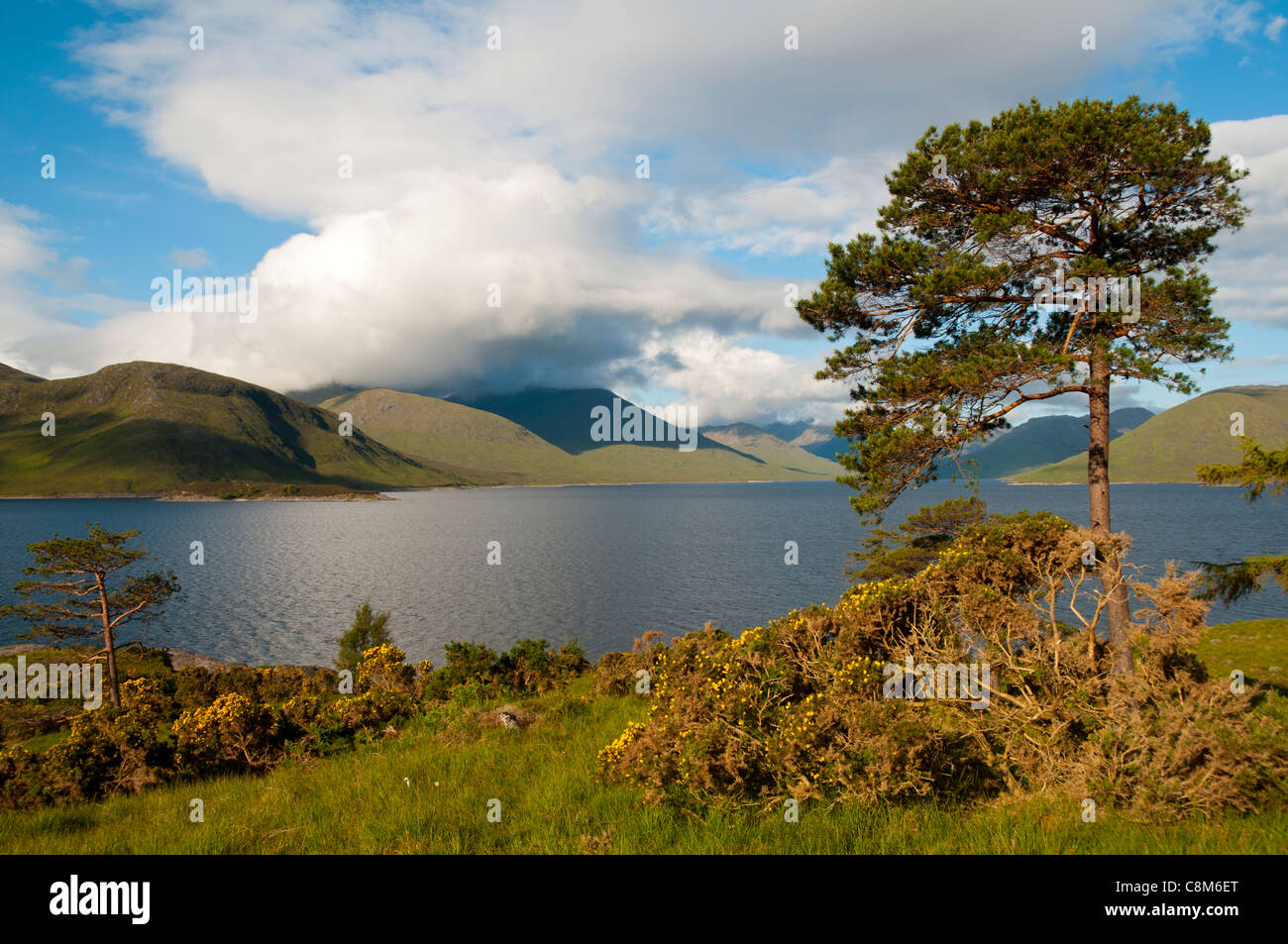 Loch Quoich and the mountains of Knoydart, Glen Garry, Highland region ...
