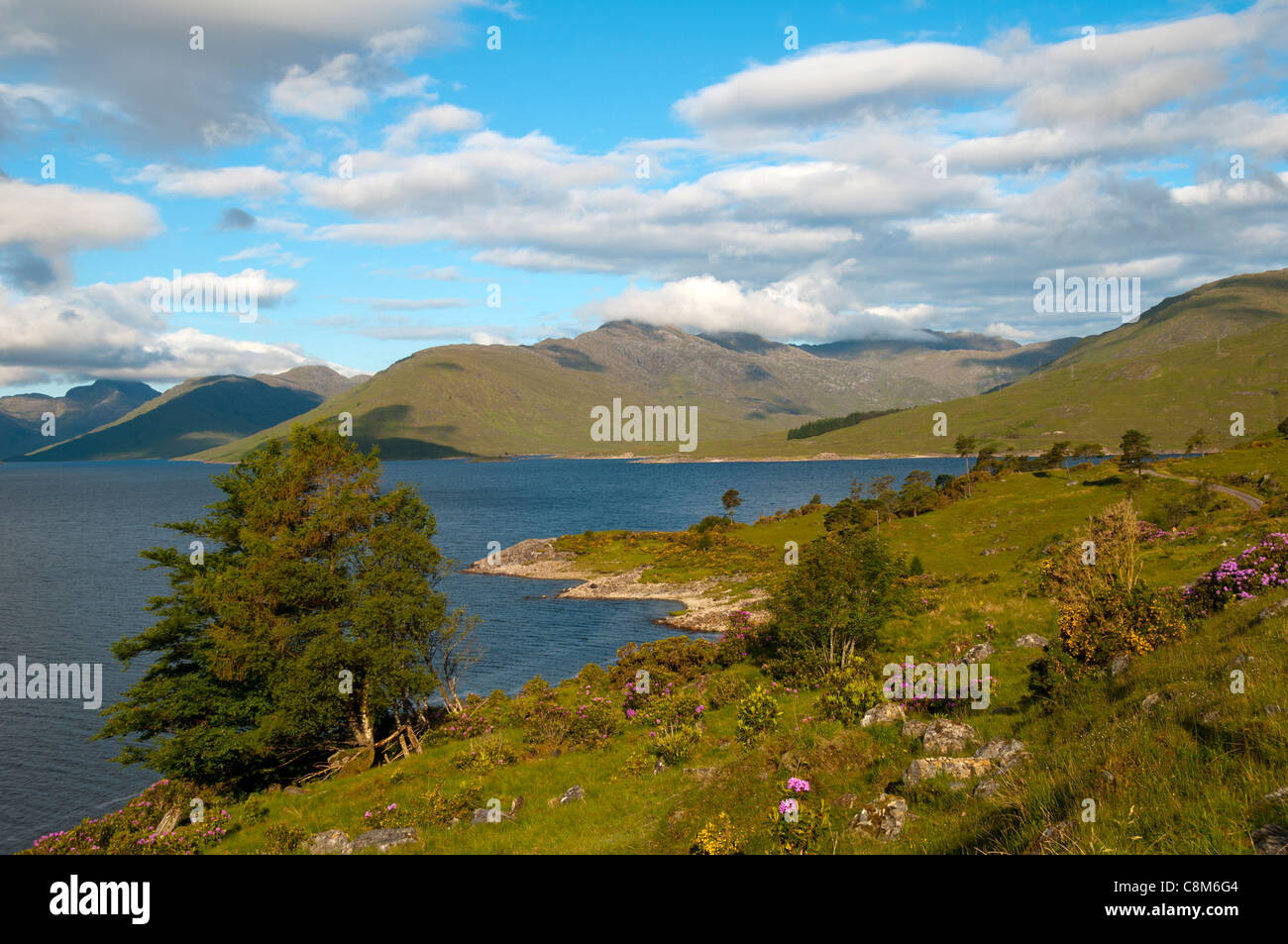 Loch Quoich, Glen Garry, Highland region, Scotland, UK Stock Photo - Alamy