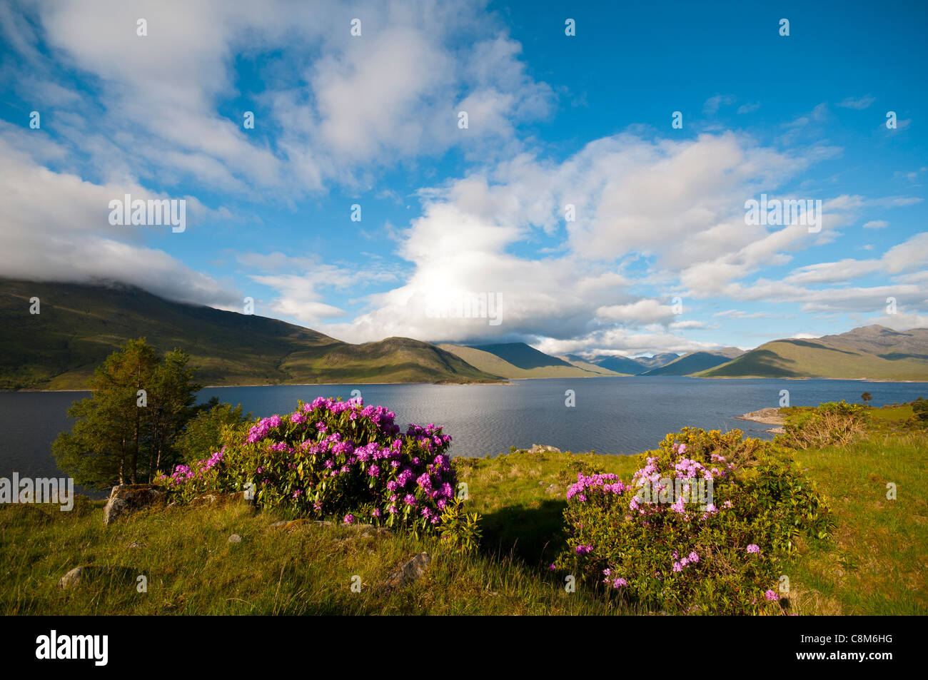 Loch Quoich and the mountains of Knoydart, Glen Garry, Highland region ...