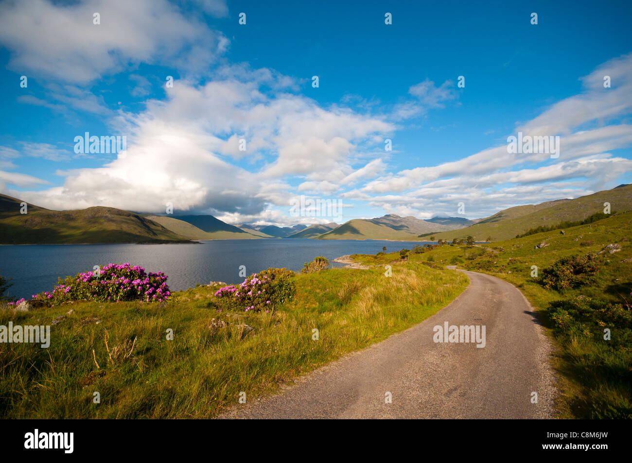 Loch Quoich and the mountains of Knoydart, Glen Garry, Highland region ...