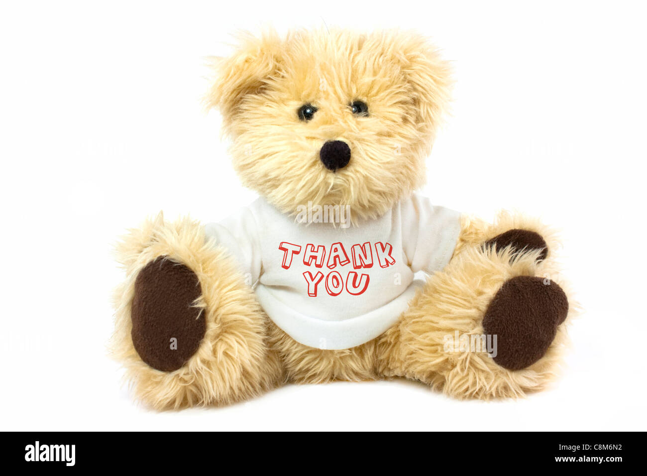 Cute little bear teddy Cut Out Stock Images & Pictures - Alamy