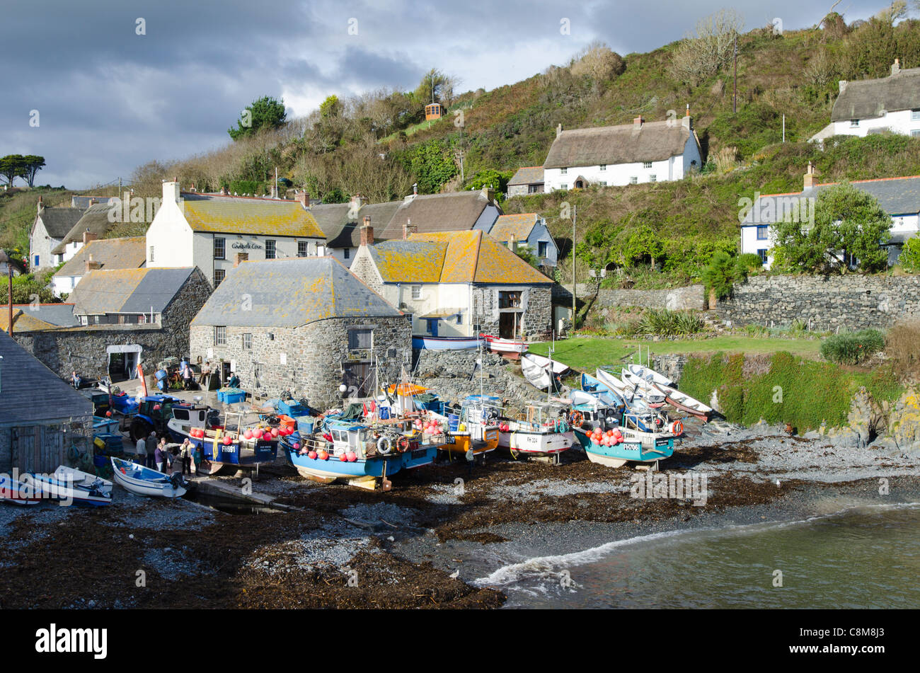 Cadgwith Cove, Cornwall Stock Photo - Alamy