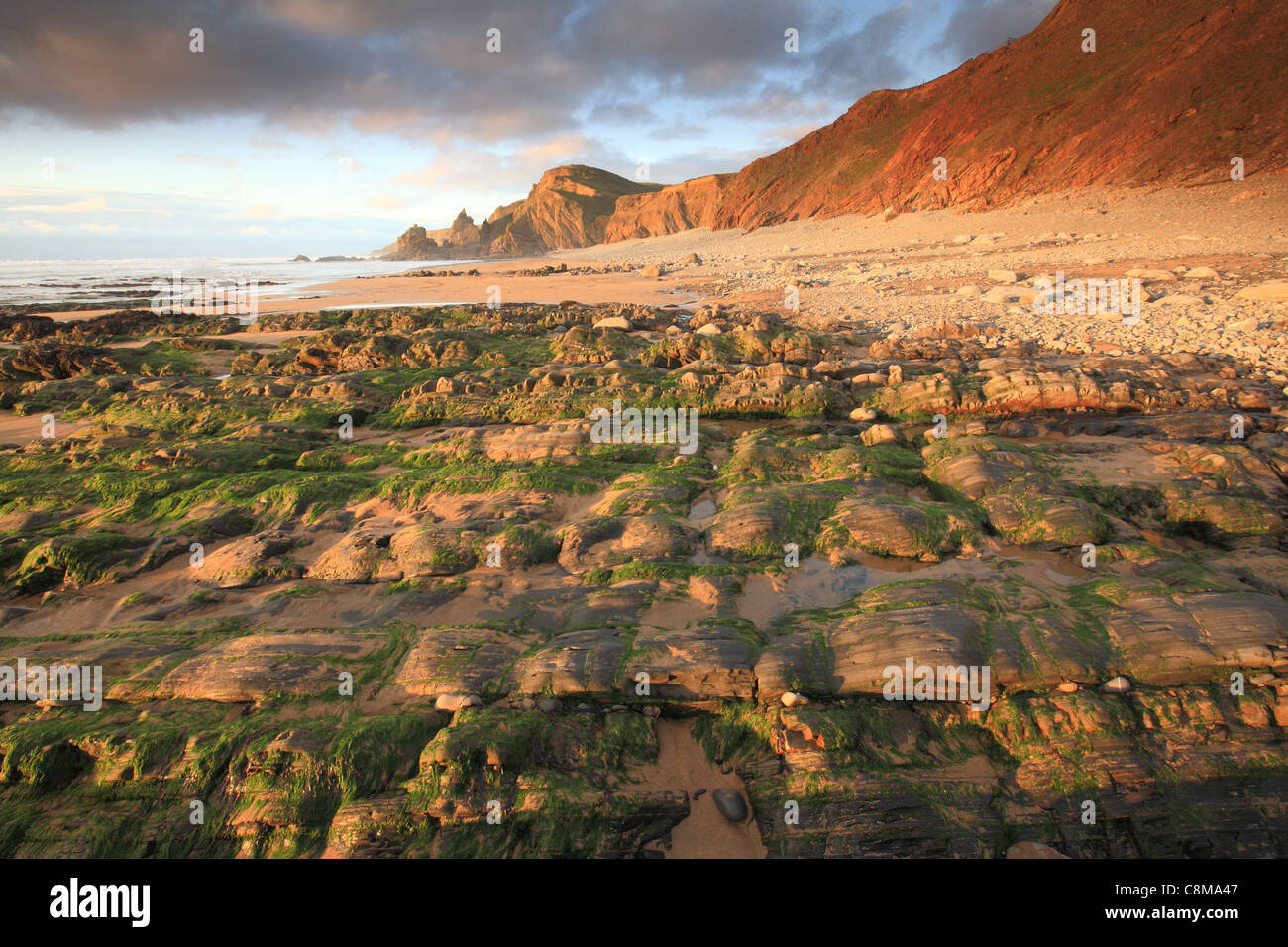 Sandymouth Bay, early autumn evening, North Cornwall, England, UK Stock ...