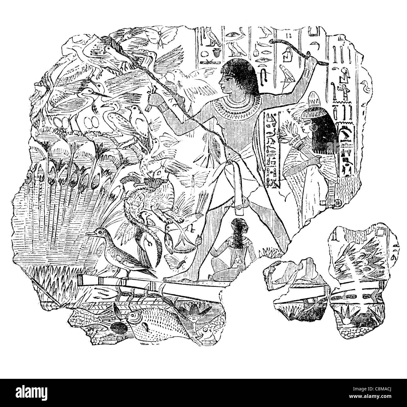 Hunting museum collection Black and White Stock Photos & Images - Alamy