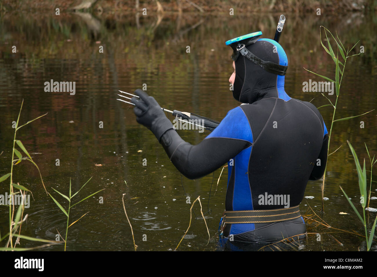 Underwater hunter is immersed in water to hunt Stock Photo - Alamy