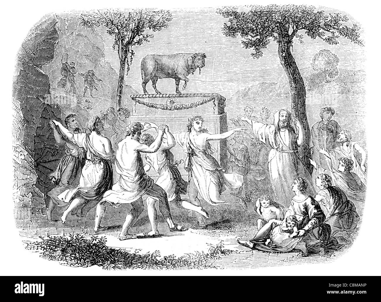 Cult bull hi-res stock photography and images - Alamy