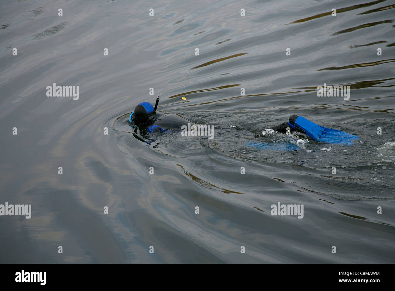 Underwater hunter is immersed in water to hunt Stock Photo - Alamy