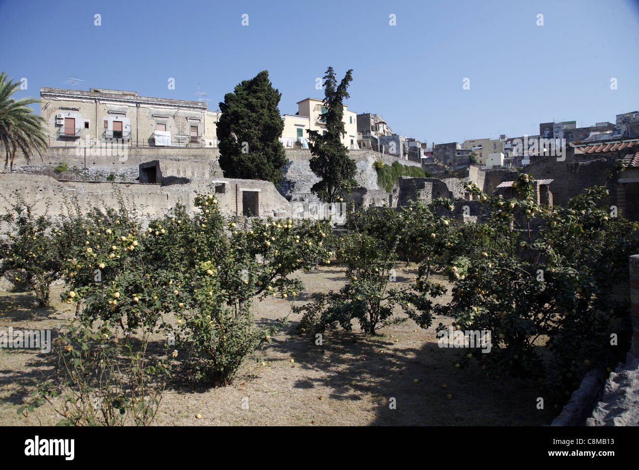Lemon trees italy hi-res stock photography and images - Alamy