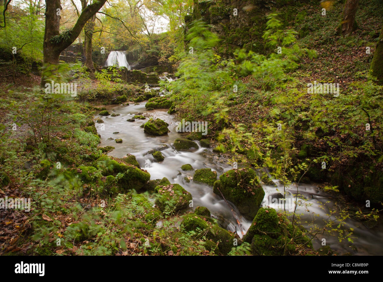 Janet's Foss; Gordale; yorkshire; UK Stock Photo - Alamy