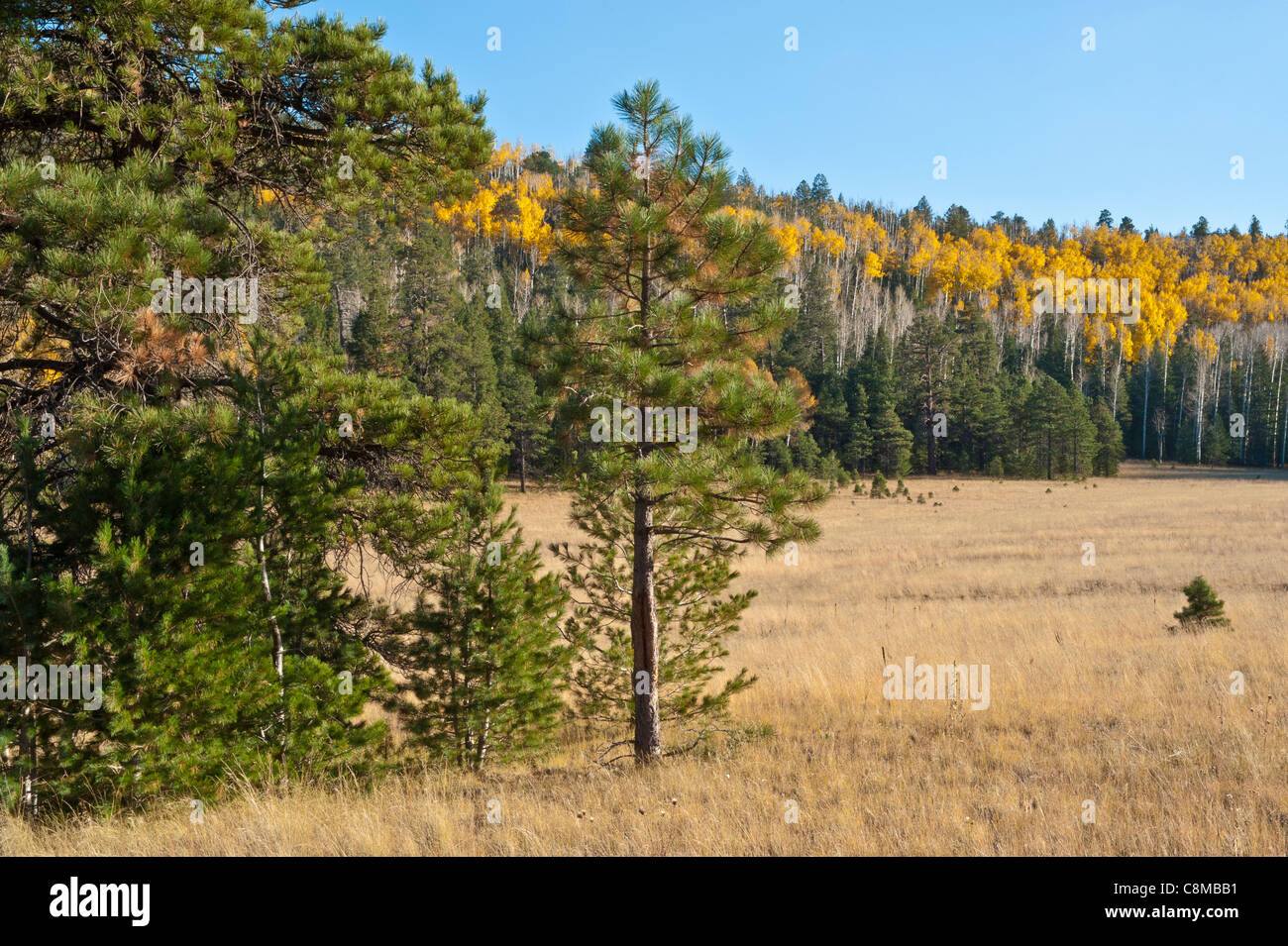 Flagstaff hi-res stock photography and images - Alamy