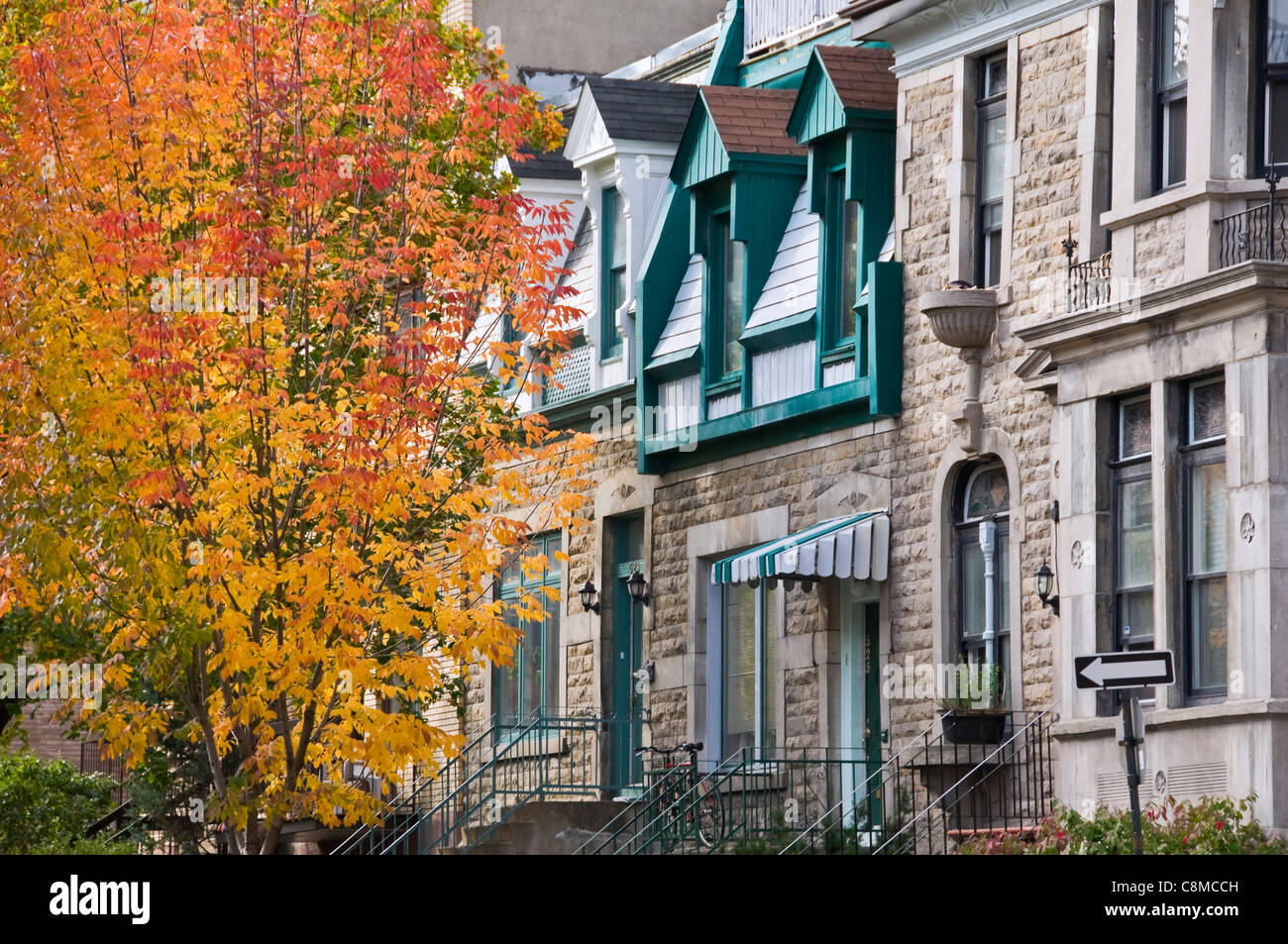 Autumn foliage Prince Arthur street Montreal canada Stock Photo - Alamy