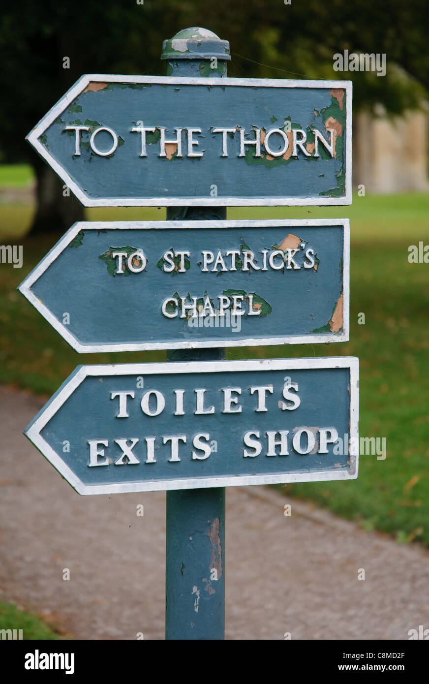 A sign to the Holy Thorn Tree at Glastonbury Abbey in Somerset Stock ...