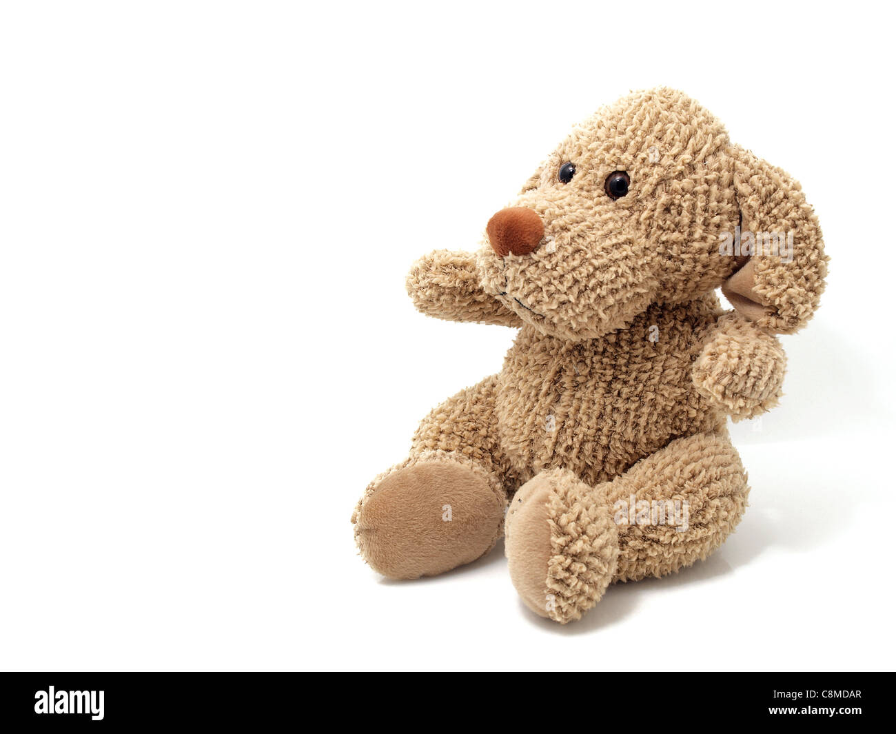Toy dog isolated Stock Photo - Alamy