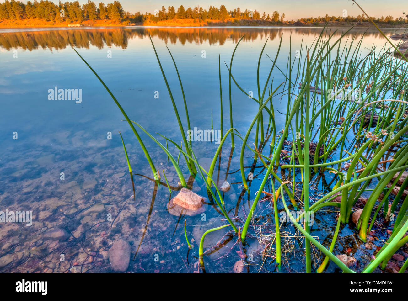 A beautiful morning at Fool Hollow State Park near Show Low, Arizona ...